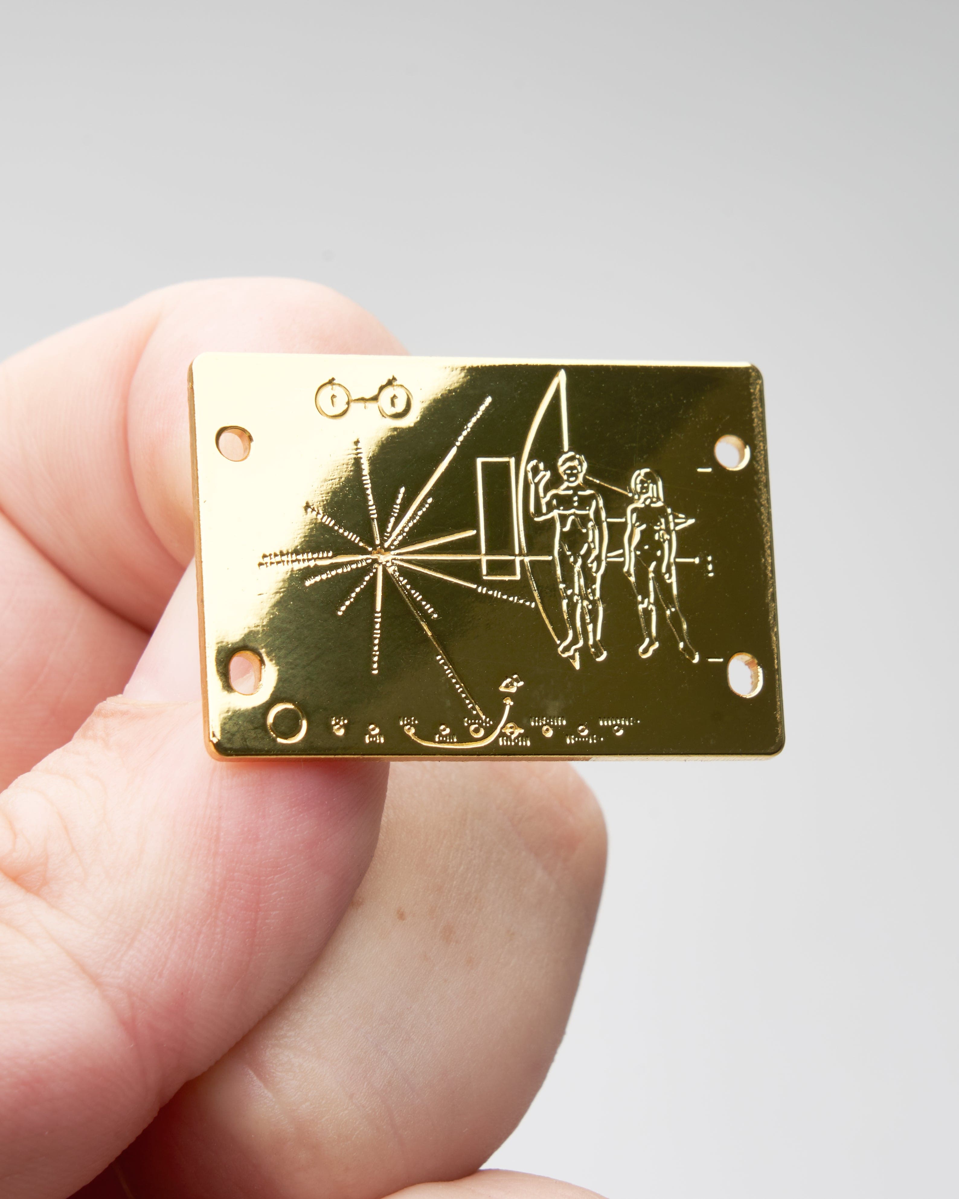 Carl Sagan's Mini Cosmic Pioneer Plaque - Enamel Pin - Fun Space Gift ...